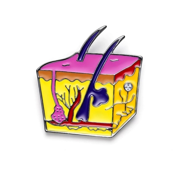 Jewelry | Histology Epidermis Blood Capillary Enamel Pin | Poshmark